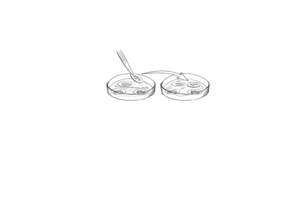 Liều dung nạp tối đa & liều giới hạn độc tính trong thử nghiệm lâm sàng ...