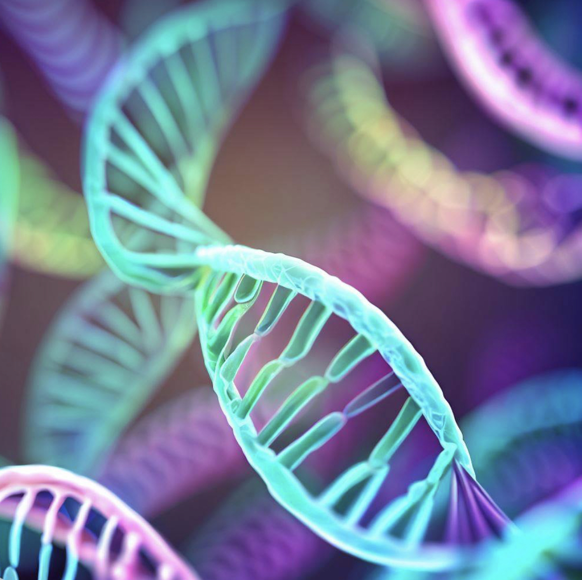 Amondys 45 – Thuốc mới điều trị loạn dưỡng cơ Duchenne - Thế Giới Thuốc Mới